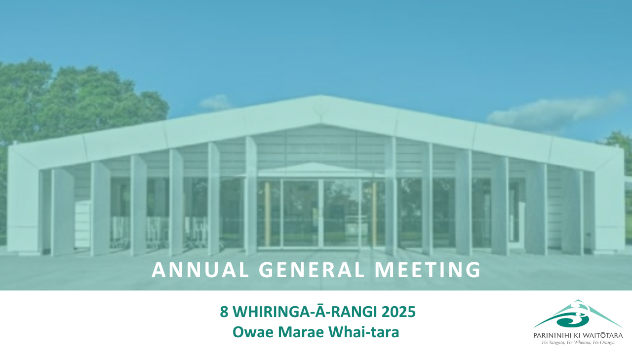 Meeting Live Stream