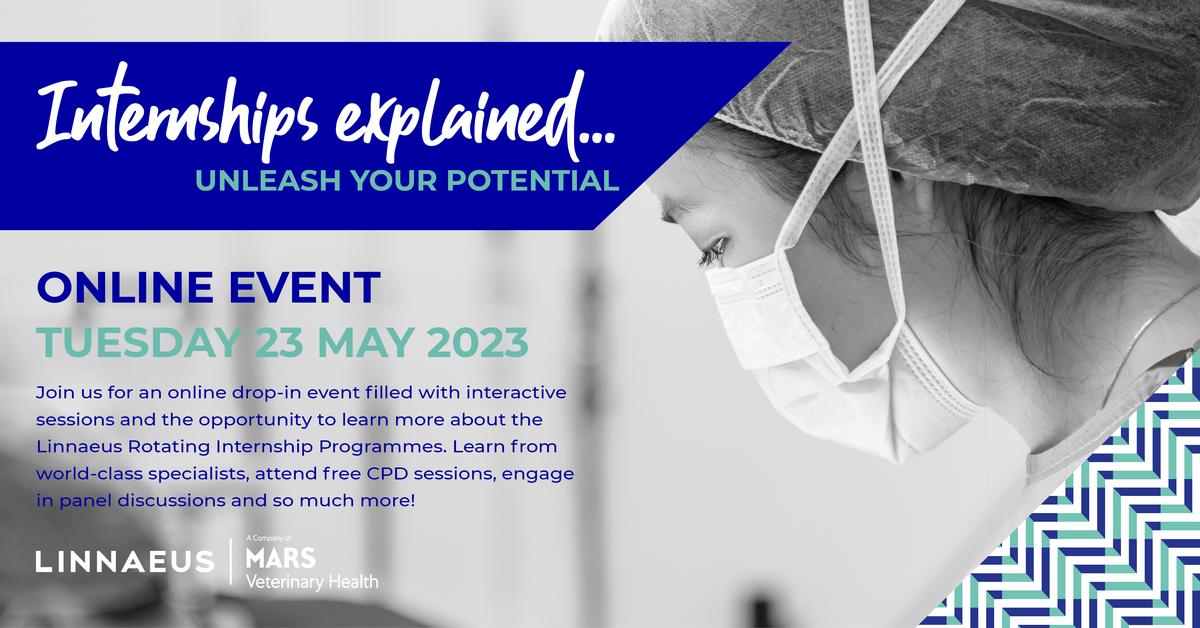 Internships Explained - Internships Explained