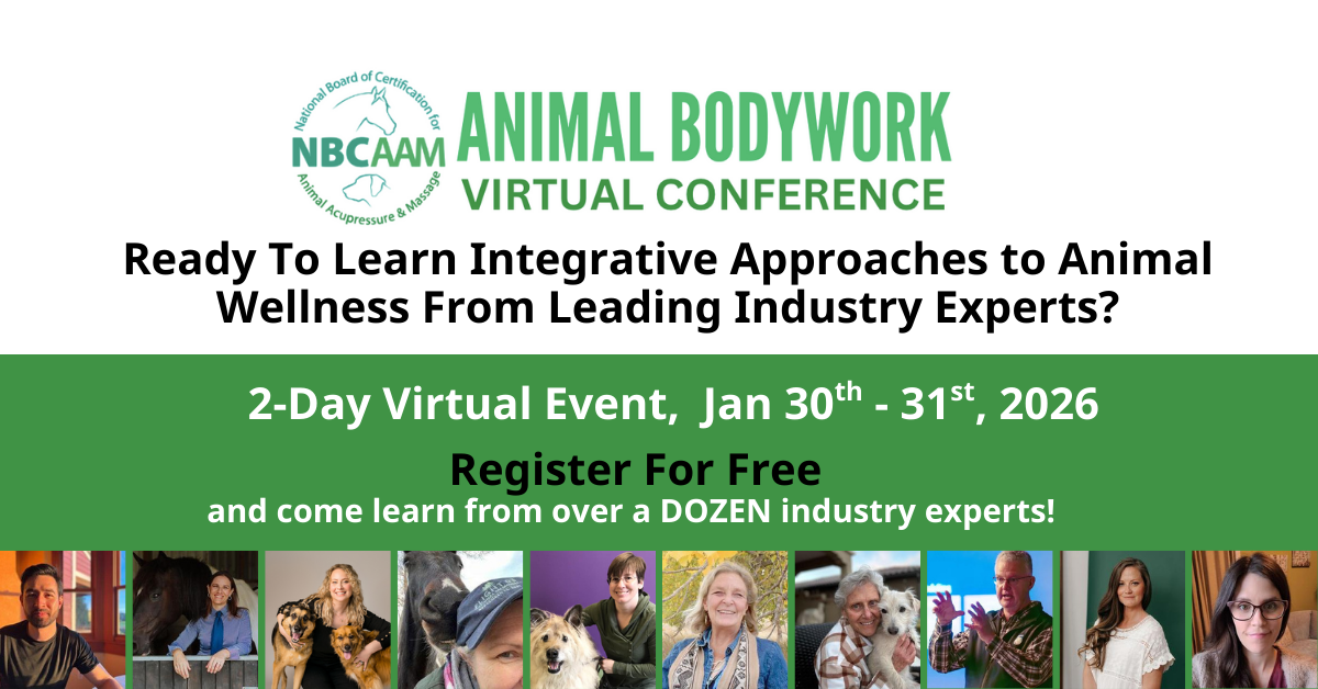 Welcome Call - Day 2