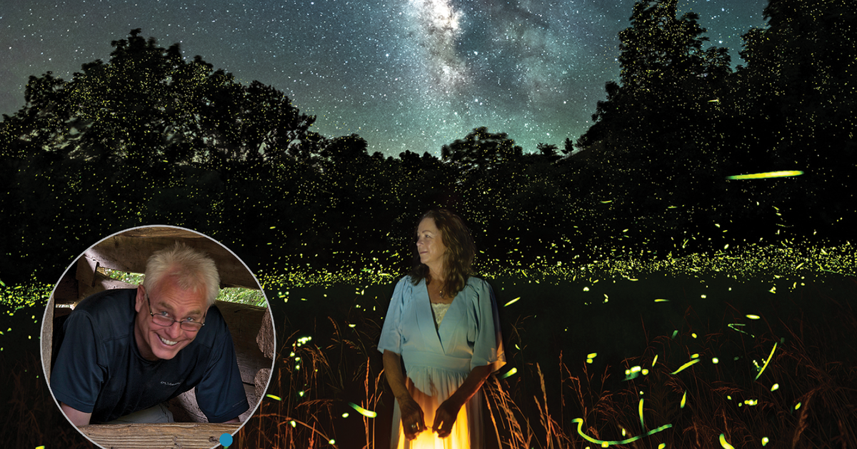 Fantastical Fireflies (CC)