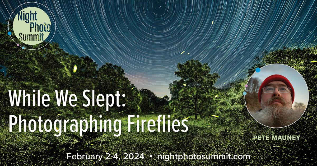 While We Slept: Photographing Fireflies